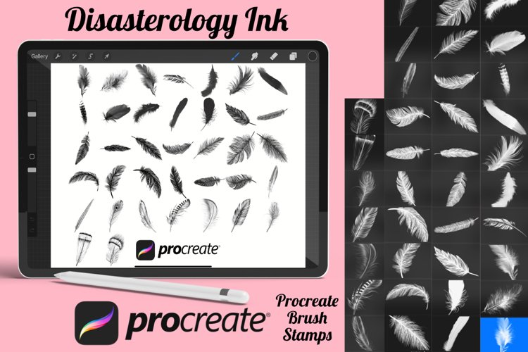 Feathers Set 1 Procreate Brush Stamps, 37 Feather Stamps