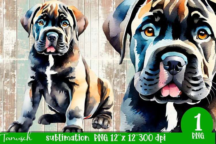 watercolor Cane Corso dog sublimation mastiff PNG (3681273)