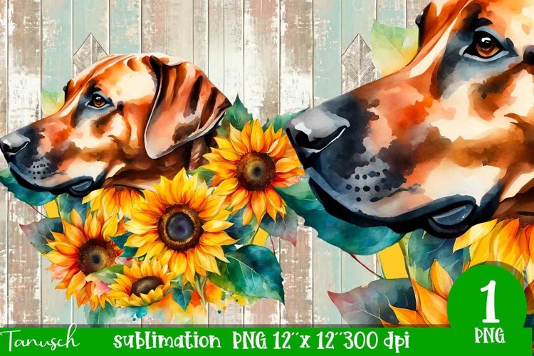 watercolor RHODESIAN RIDGEBACK sublimation PNG / dog design