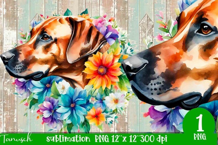 watercolor RHODESIAN RIDGEBACK sublimation PNG / dog design
