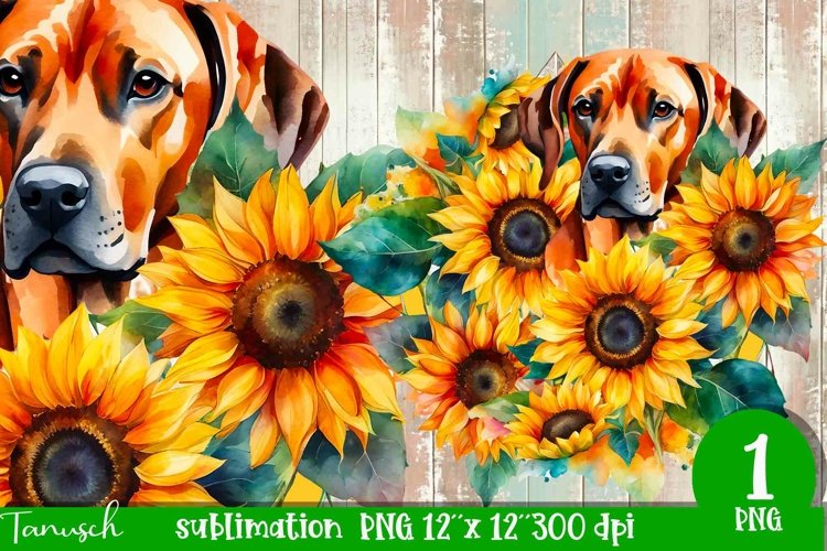 watercolor RHODESIAN RIDGEBACK sublimation PNG / dog design