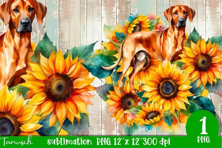 watercolor RHODESIAN RIDGEBACK sublimation PNG / dog design