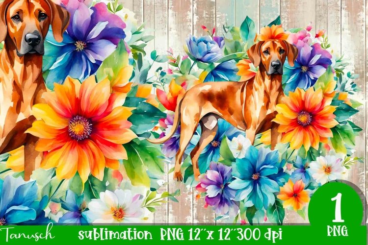 watercolor RHODESIAN RIDGEBACK sublimation PNG / dog design