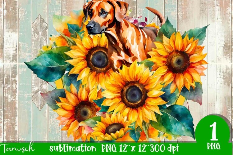 watercolor RHODESIAN RIDGEBACK sublimation PNG / dog design