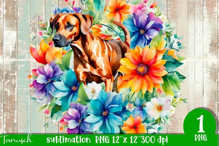 watercolor RHODESIAN RIDGEBACK sublimation PNG / dog design