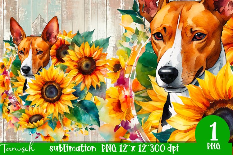 watercolor basenji sublimation PNG (3613719)