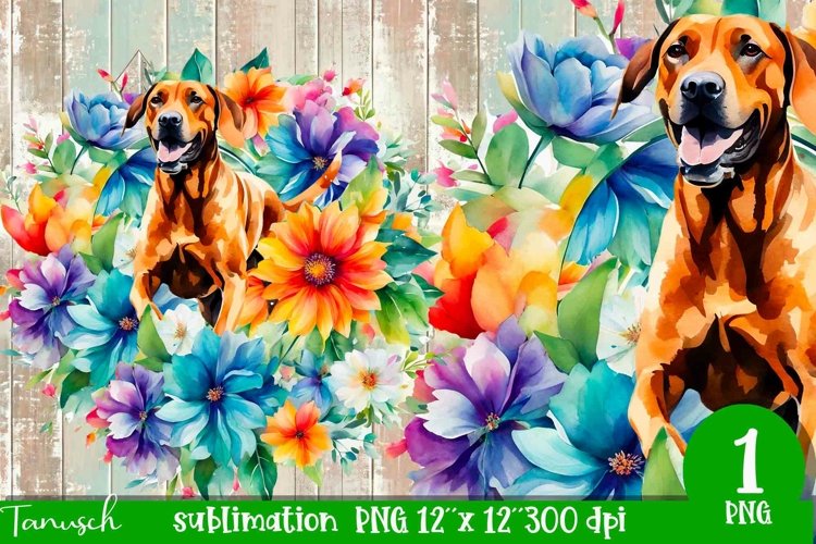 watercolor RHODESIAN RIDGEBACK sublimation PNG / dog design