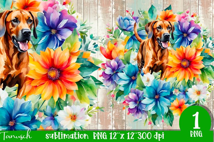 watercolor RHODESIAN RIDGEBACK sublimation PNG / dog design