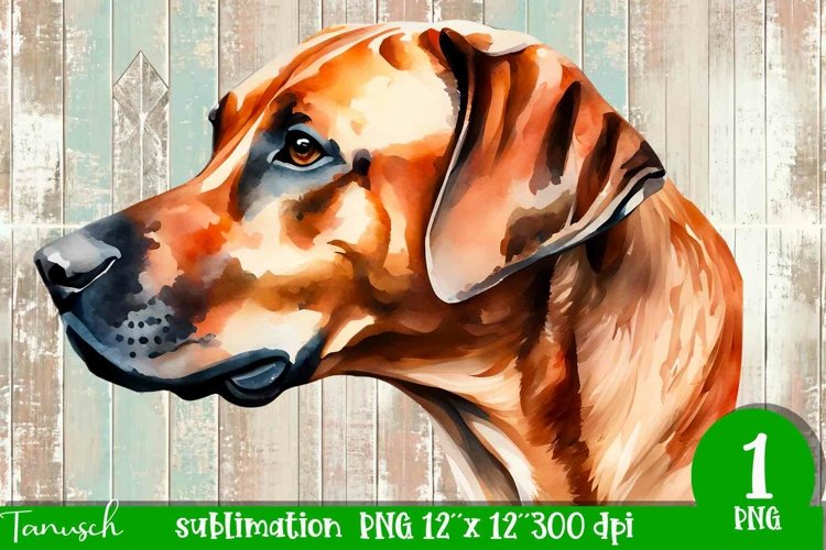 watercolor RHODESIAN RIDGEBACK sublimation PNG / dog design