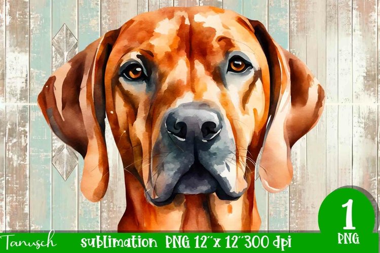 watercolor RHODESIAN RIDGEBACK sublimation PNG / dog design