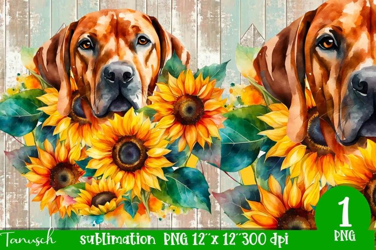 watercolor RHODESIAN RIDGEBACK sublimation PNG / dog design