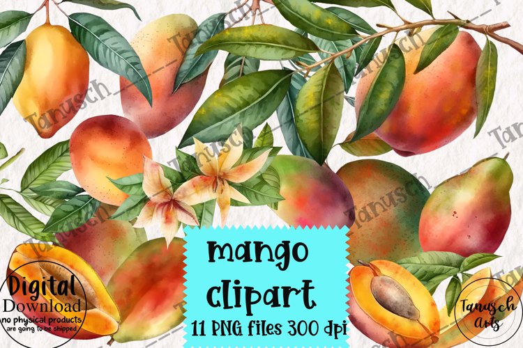 watercolor mango fruits food clipart PNG