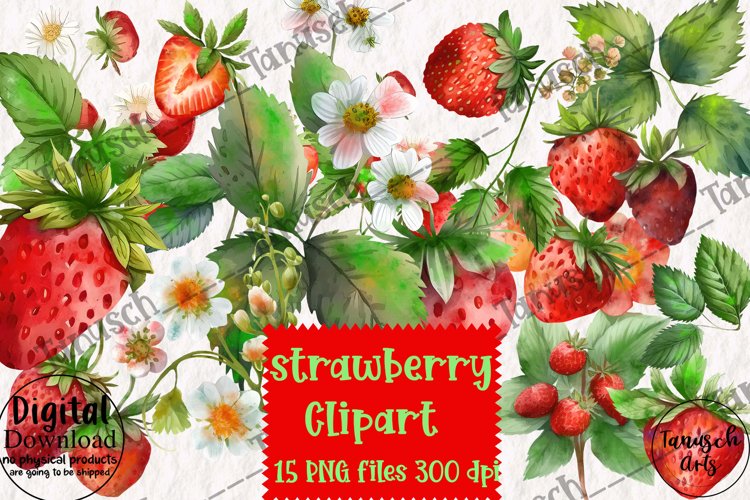 watercolor strawberry berries food clipart PNG