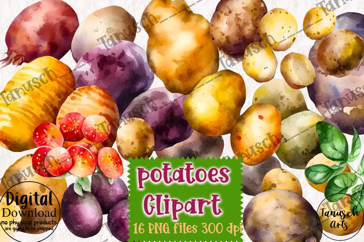 watercolor potato vegetables food clipart PNG