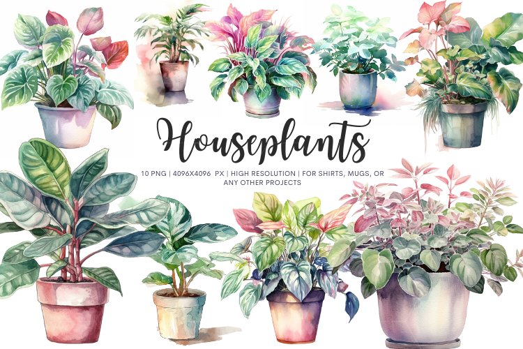 House Plants watercolor Clipart bundle, Houseplants Png