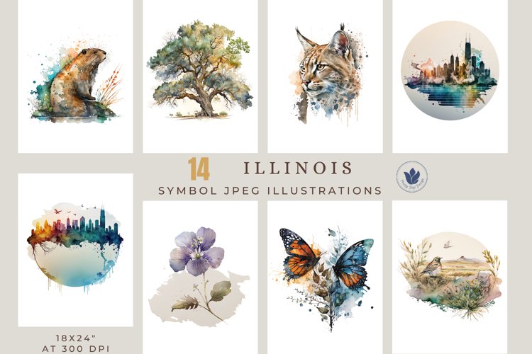 Illinois Symbol Illustrations | 14 Jpeg Files