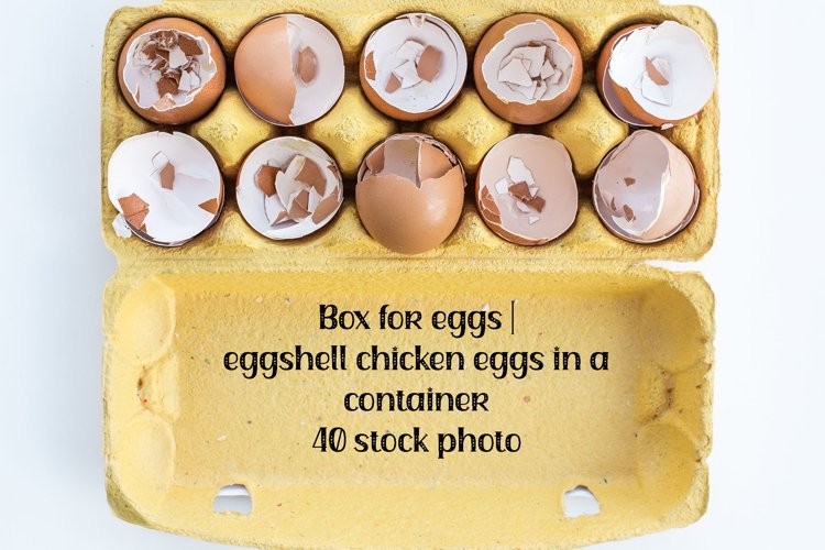 box for eggs chicken egg shells in a container