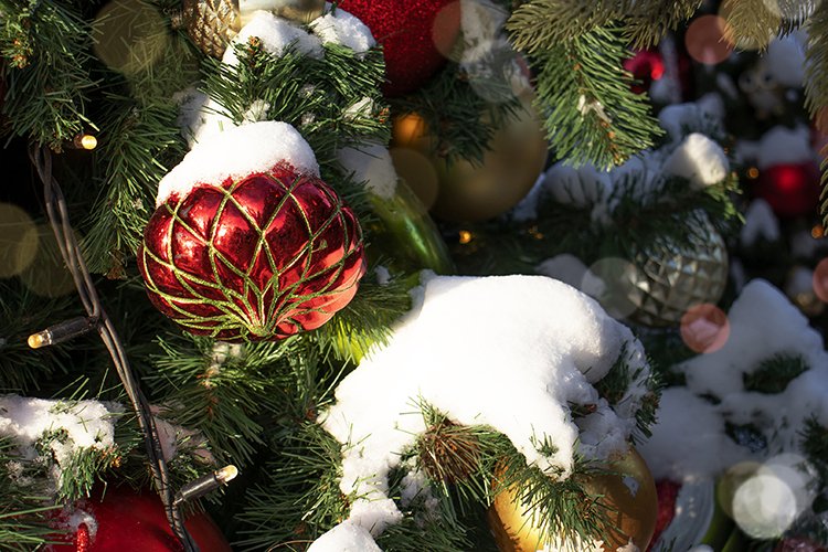 Christmas tree with colorful balls under the snow (2358397)