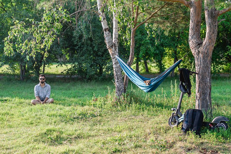Handsome European man sitting on a grass in summer (2380998)