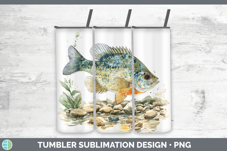 Bluegill Sunfish Lake Fish Sketch Tumbler Sublimation Design
