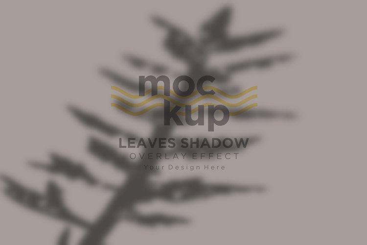 Leaves Shadow Overlay Effect Mockup (2413479)
