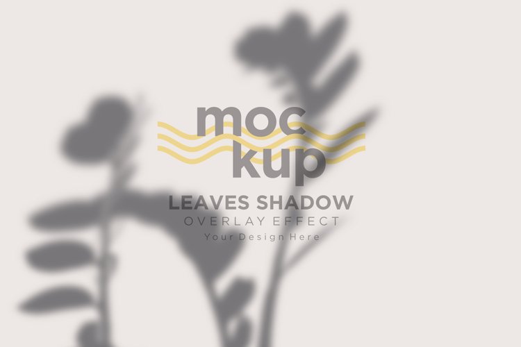Leaves Shadow Overlay Effect (2413552)
