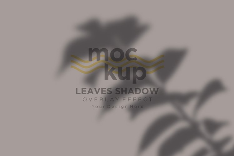 Leaves Shadow Overlay Effect (2413291)