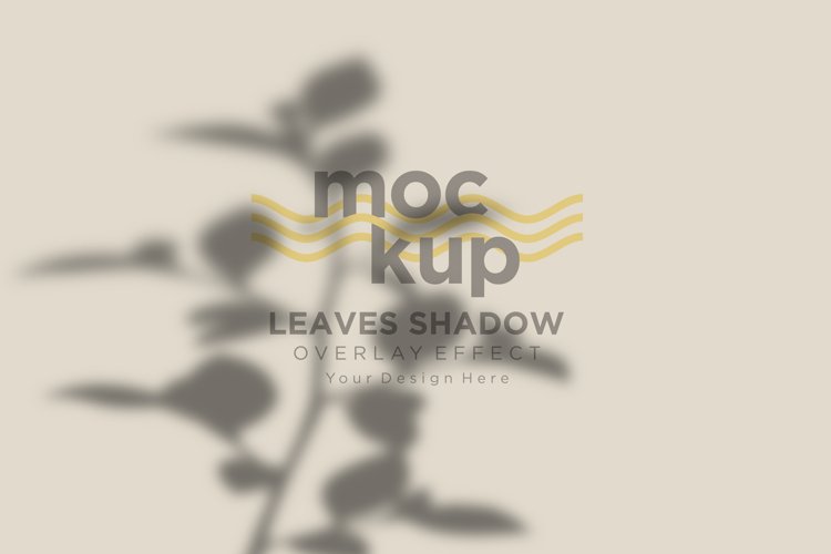 Leaves Shadow Overlay Effect (2413707)