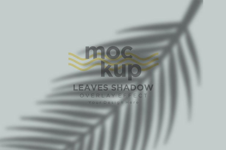 Leaves Shadow Overlay Effect (2413725)