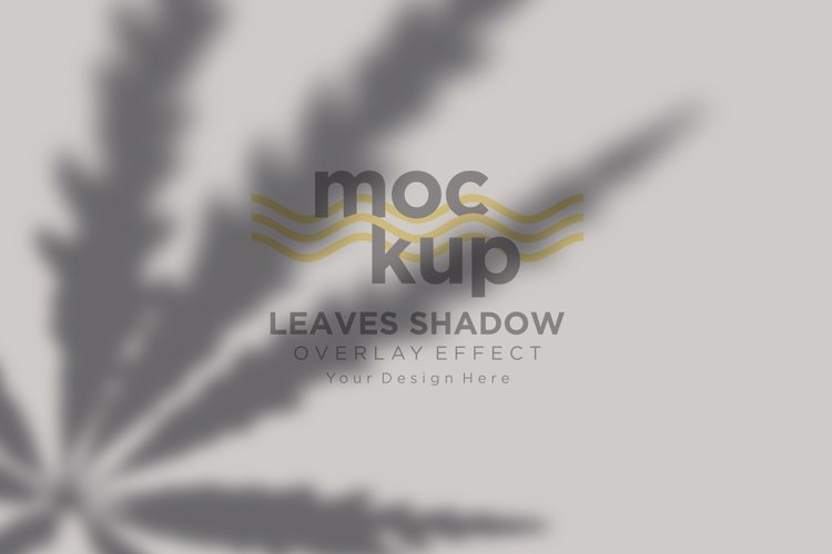 Leaves Shadow Overlay Effect Mockup (2414826)