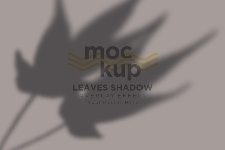 Maple Leaves Shadow Overlay Effect Mockup (2414831)