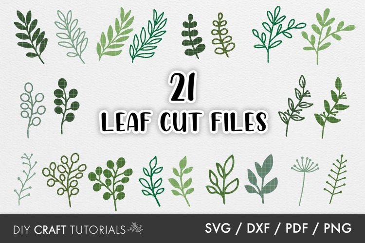 Leaves SVG Bundle - 21 Leaf Cut Files