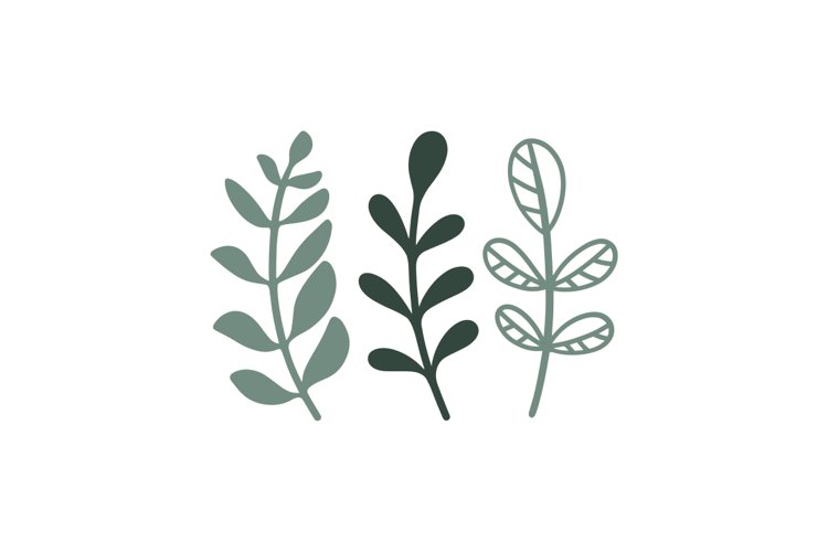 Leaves SVG Cut File (1525650)