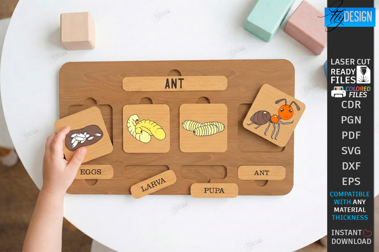 Life Cycle Puzzle Laser Cut | Educational (6551710)