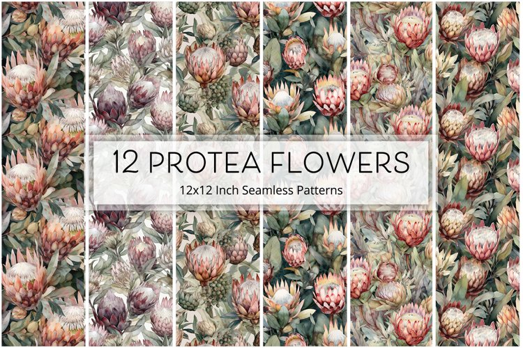 12 Exotic Protea Flowers Seamless Patterns / Backgrounds 12"