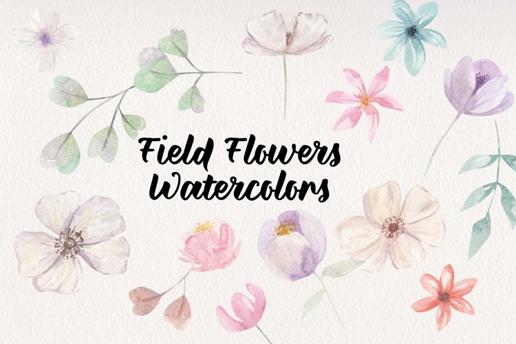 Flower 14 Watercolor Hand Painted Flowers Pretty Clipart