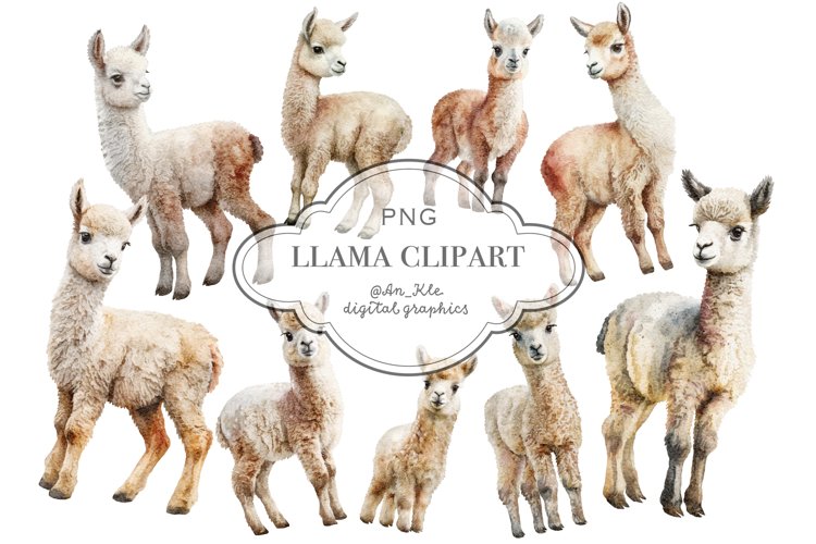 Cute llamas clipart (2469252)