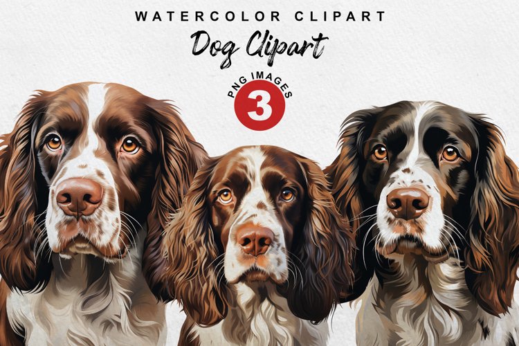 English Springer Spaniel Dog Clipart | Watercolor Clipart