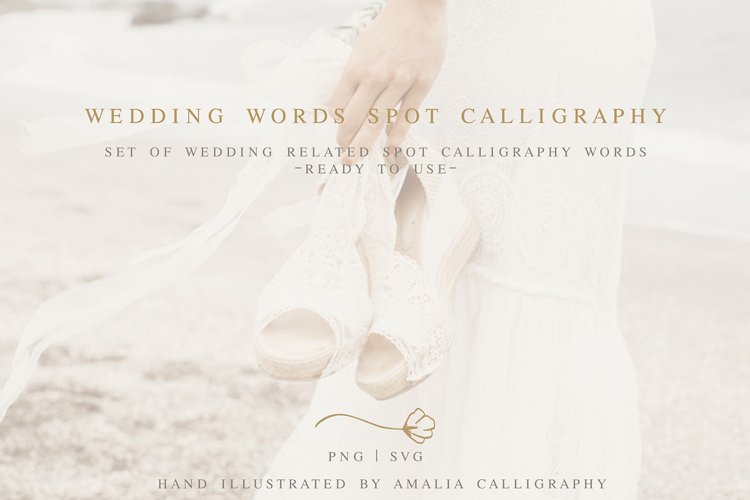 Wedding Vectors | Words & Phrases