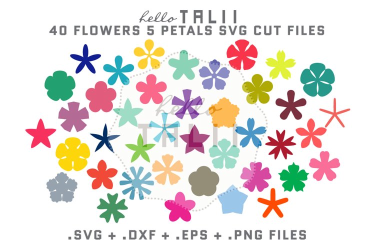 5 PETAL FLOWERS SVG CUT FILES (2124784) | SVGs | Design Bundles