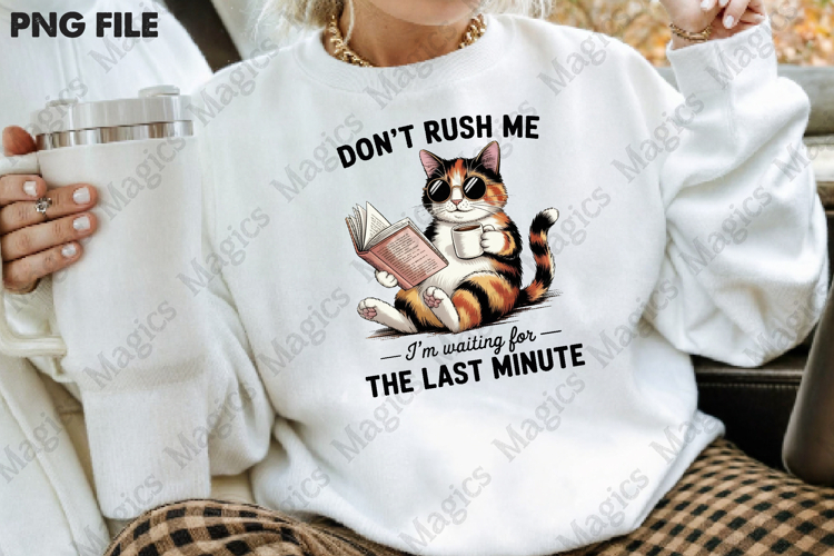 Funny Cat Sarcastic Sassy Don't Rush Me