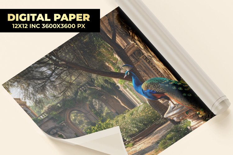 Beautiful Peacock Digital Paper