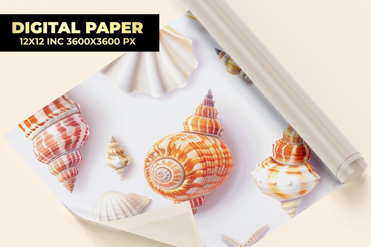 Seashell Digital Paper (4539374)