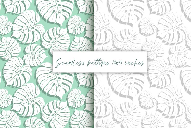 Decorative patterns of monstera leaves