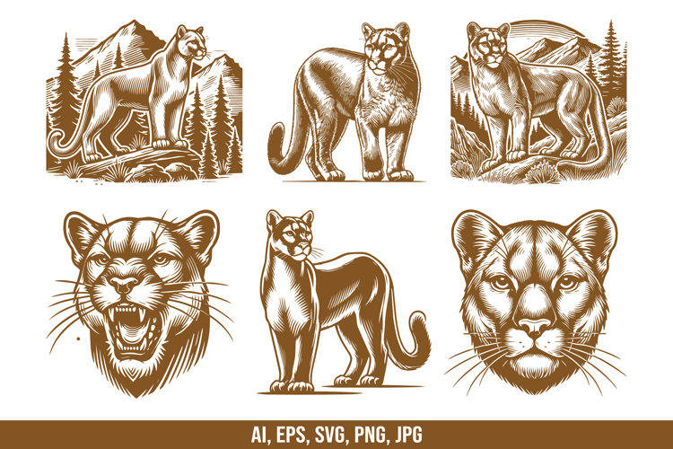 Mountain Lion Vector SVG Bundle