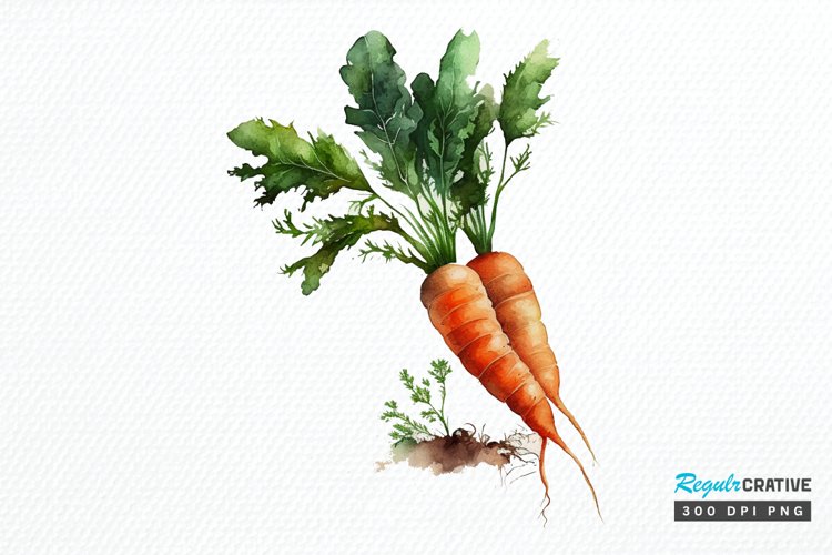 Watercolor Carrot png clipart