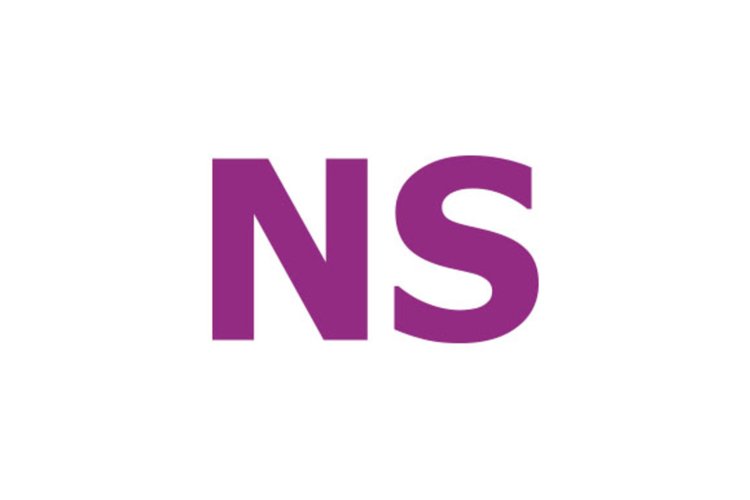 NS logo design (2376797)