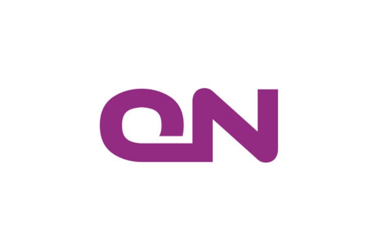 ON logo design (2377471)