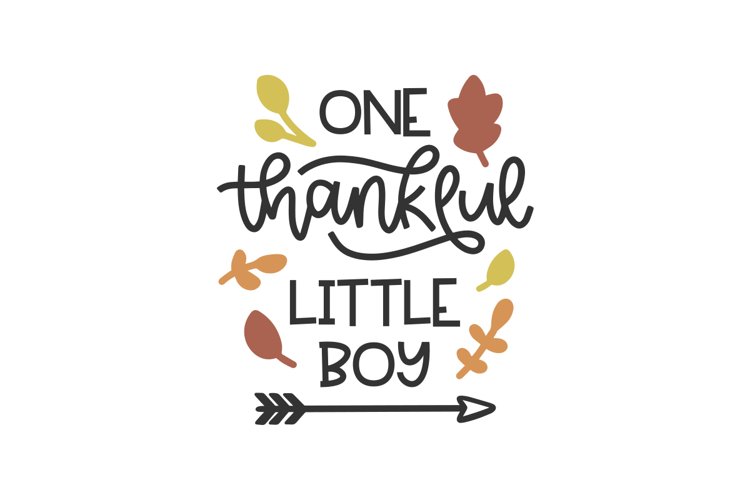 One Thankful Little Boy (1524298)