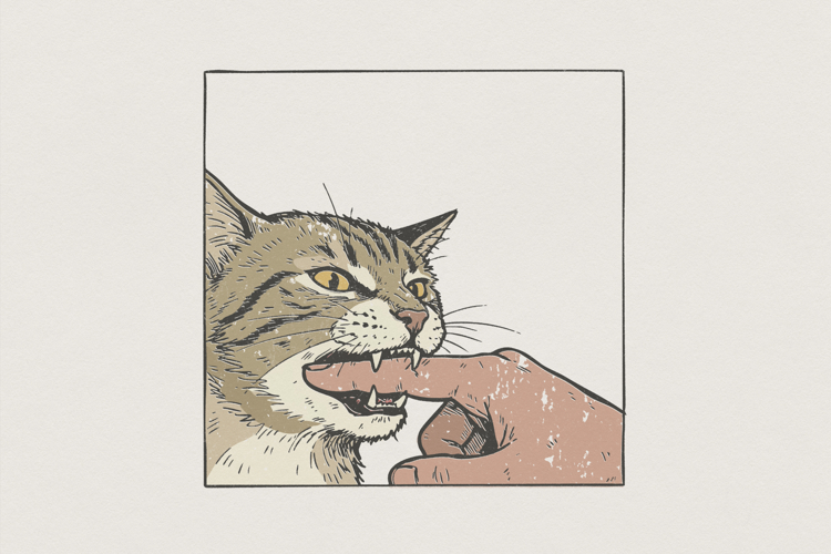 Cat Biting Finger PNG, Funny Cat Art Shirt, Digital